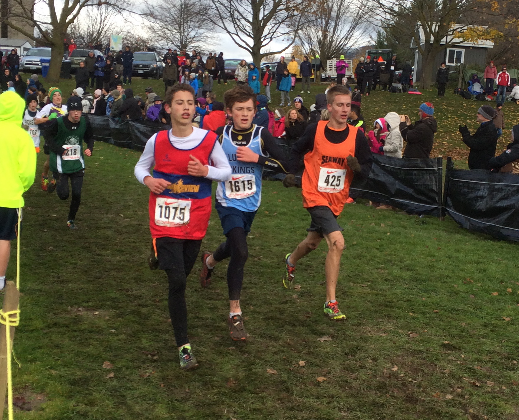 310 Running – 310 Athletes Represent at OFSAA