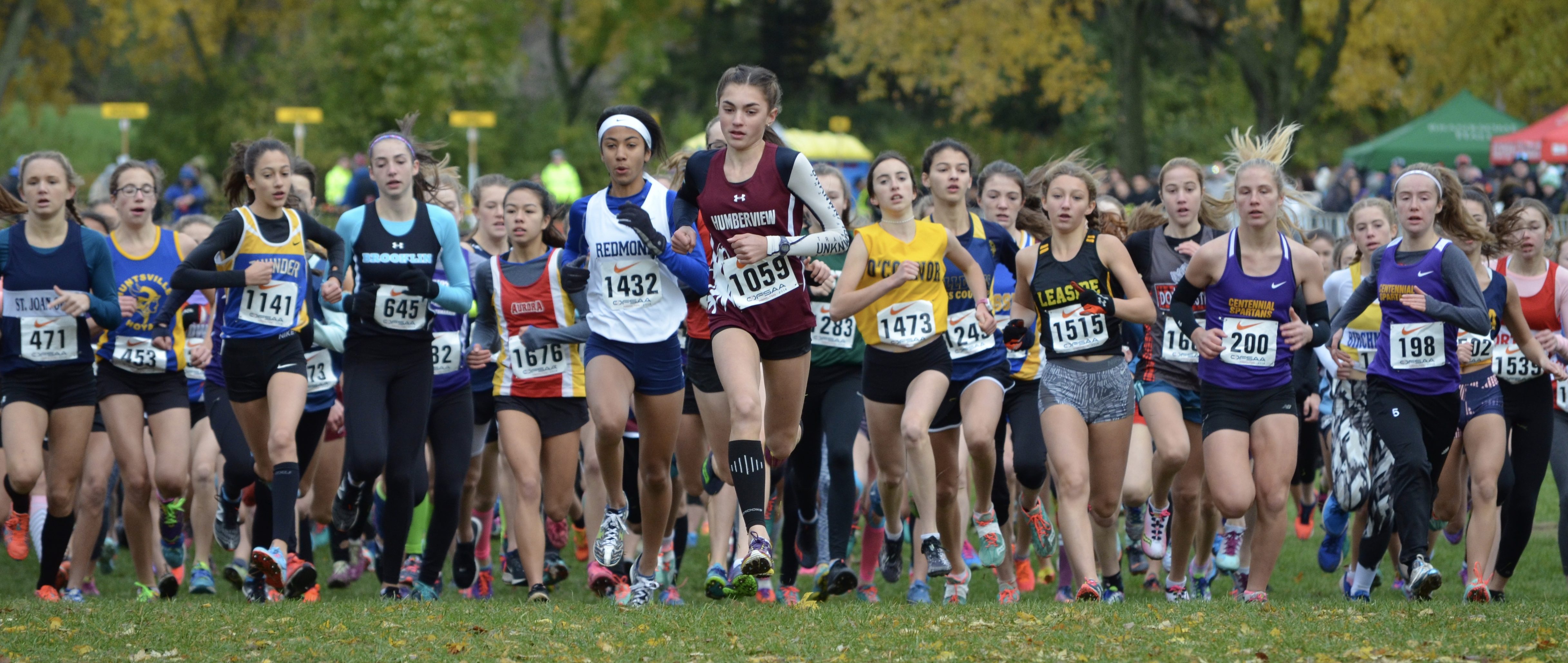 310 Running – 2018 OFSAA Cross Country